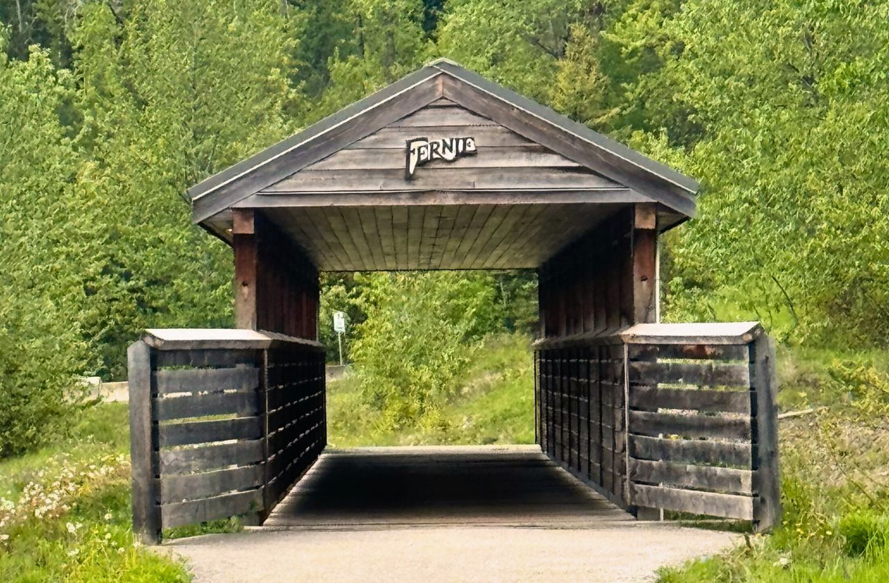 Discover Fernie: Your Ultimate Guide to this Hidden Gem in the Rockies ...